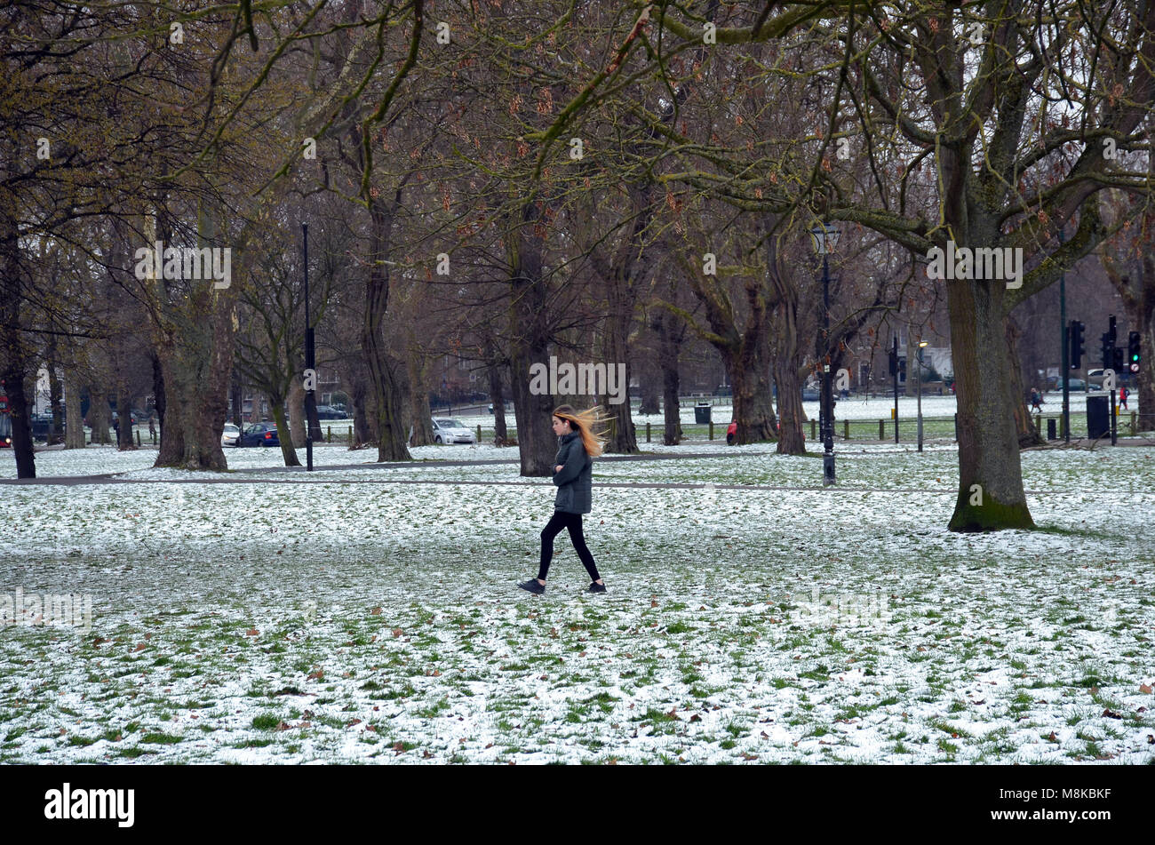 London, UK, 18 March 2018, Snow and daffodils on Clapham Common Stock ...