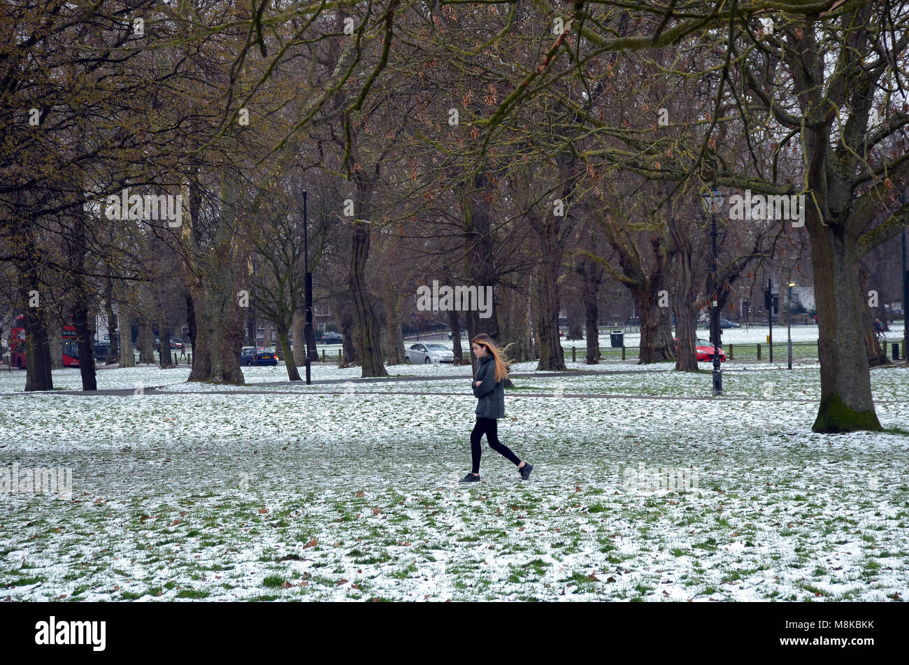 London, UK, 18 March 2018, Snow and daffodils on Clapham Common Stock ...