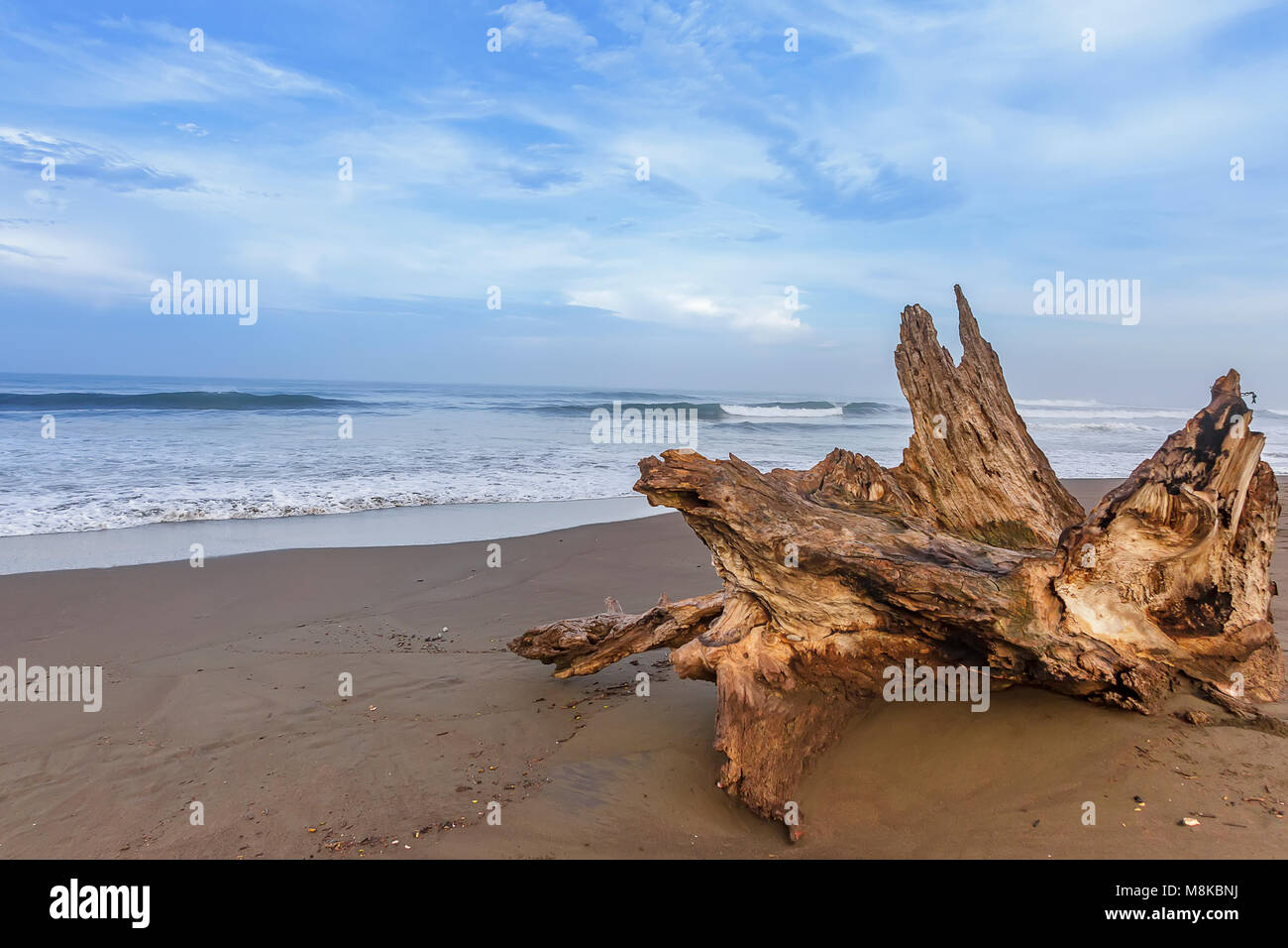Costa rica landscape with animals hi-res stock photography and images ...
