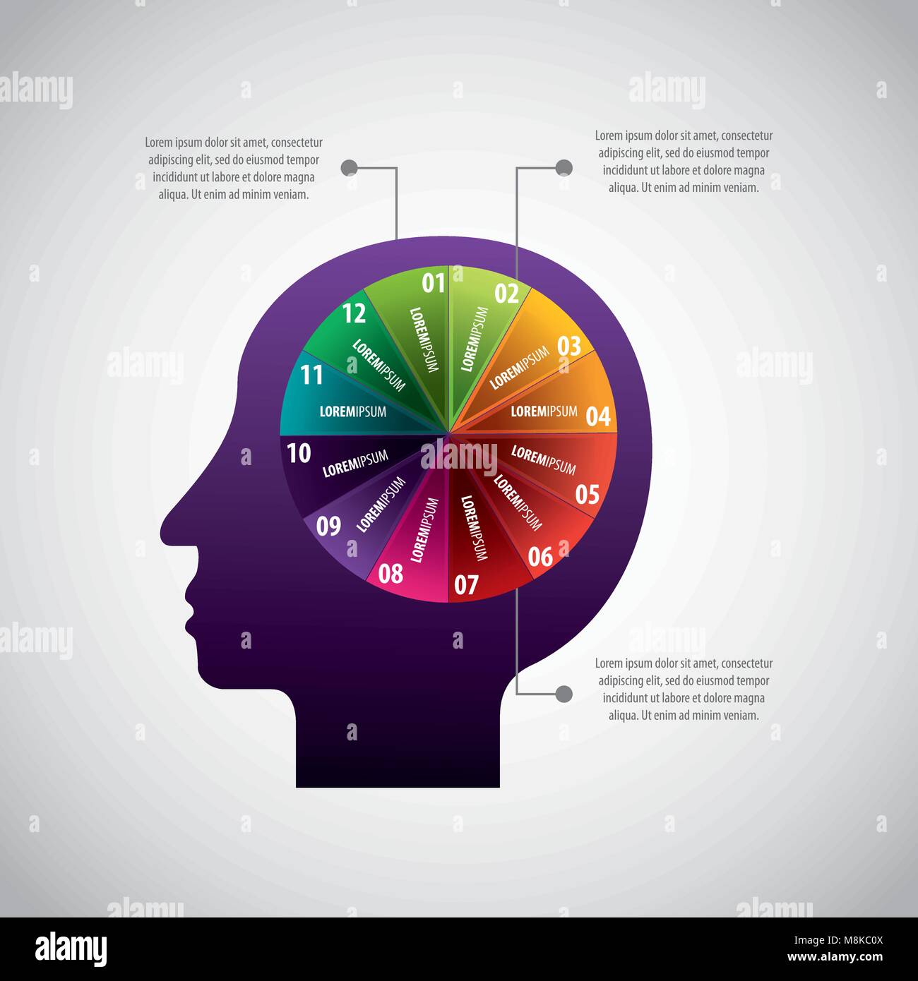 infographics diagrams chart Stock Vector Image & Art - Alamy