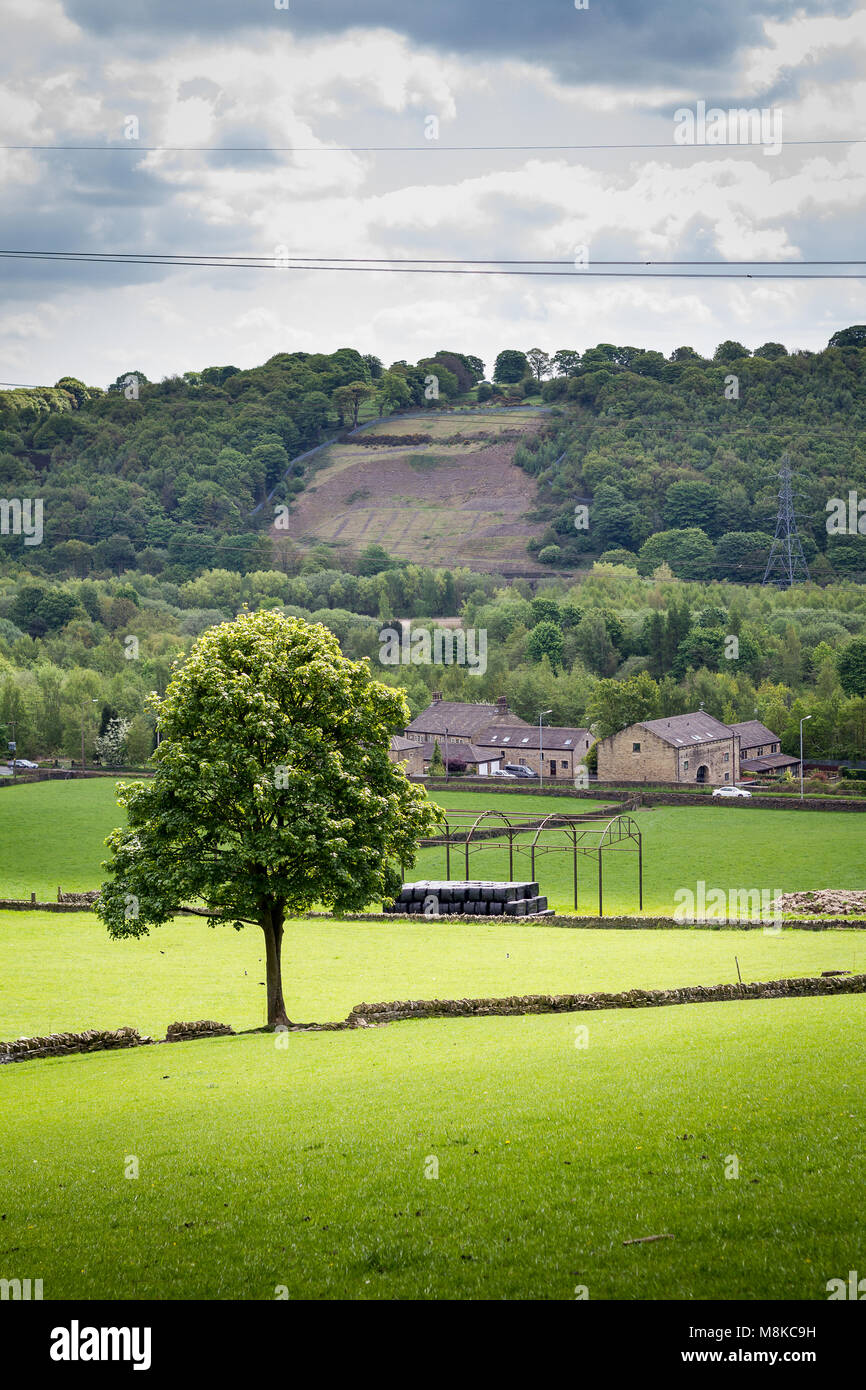 Looking across the valley from Elland Wood Stock Photo - Alamy