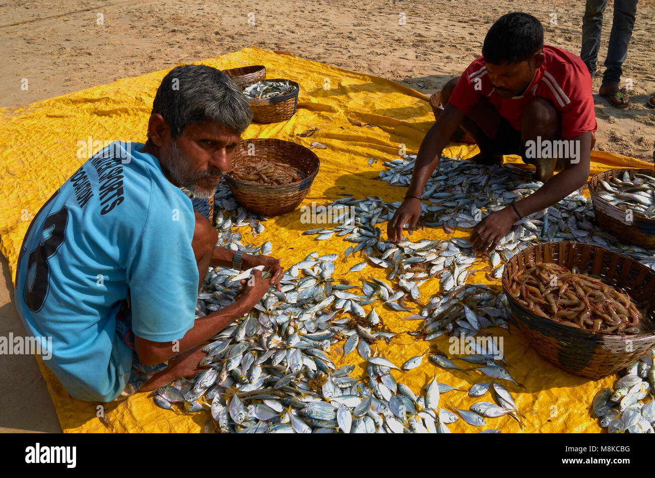 Fishermen, Goa beach, India Stock Photo - Alamy