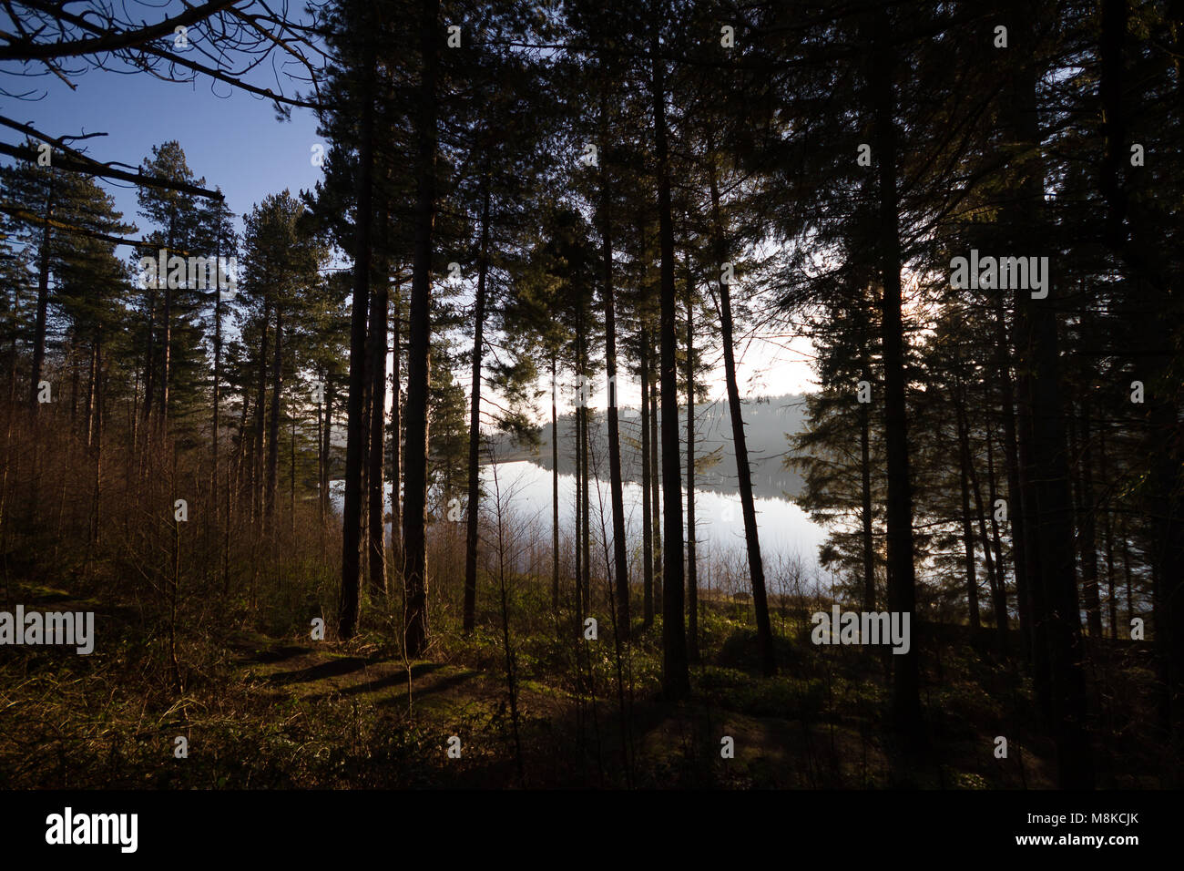 A view of Langsett reservoir from Langsett Woods Stock Photo - Alamy