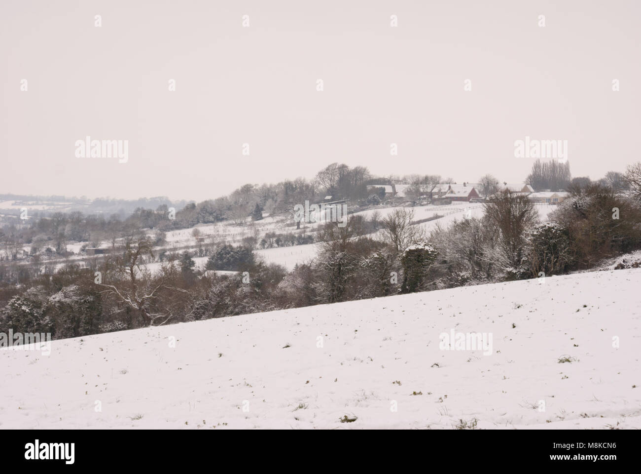 Somerset snow hi-res stock photography and images - Alamy