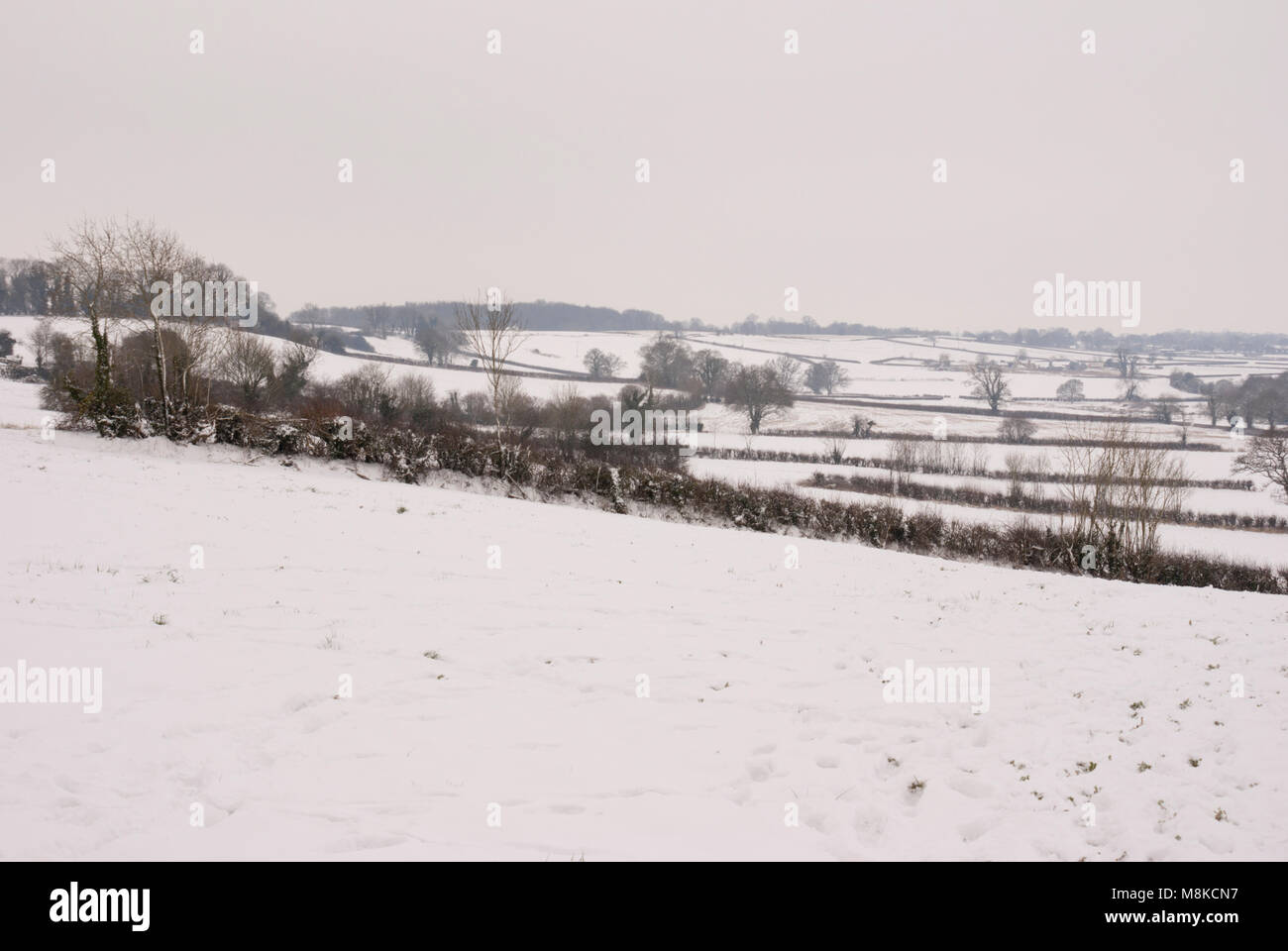 Somerset Snow Stock Photos & Somerset Snow Stock Images - Alamy
