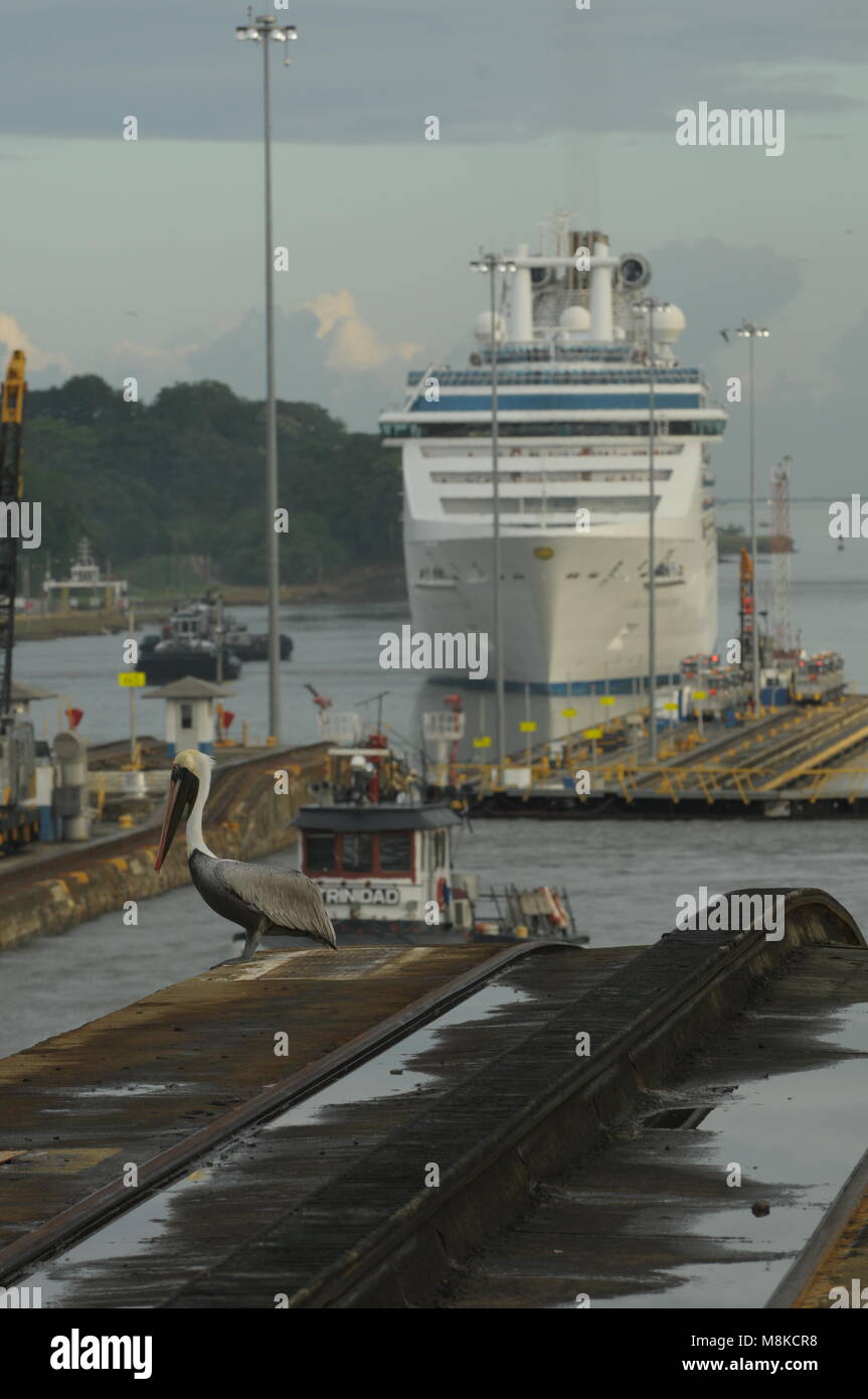 Coral Princess cruise ship passes through the Panama Canal Stock Photo ...