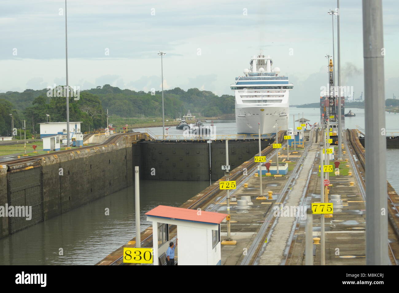 Coral Princess cruise ship passes through the Panama Canal Stock Photo ...