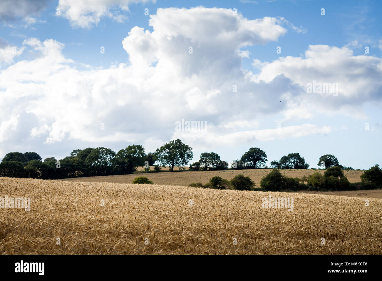 Netherton yorkshire hi-res stock photography and images - Alamy