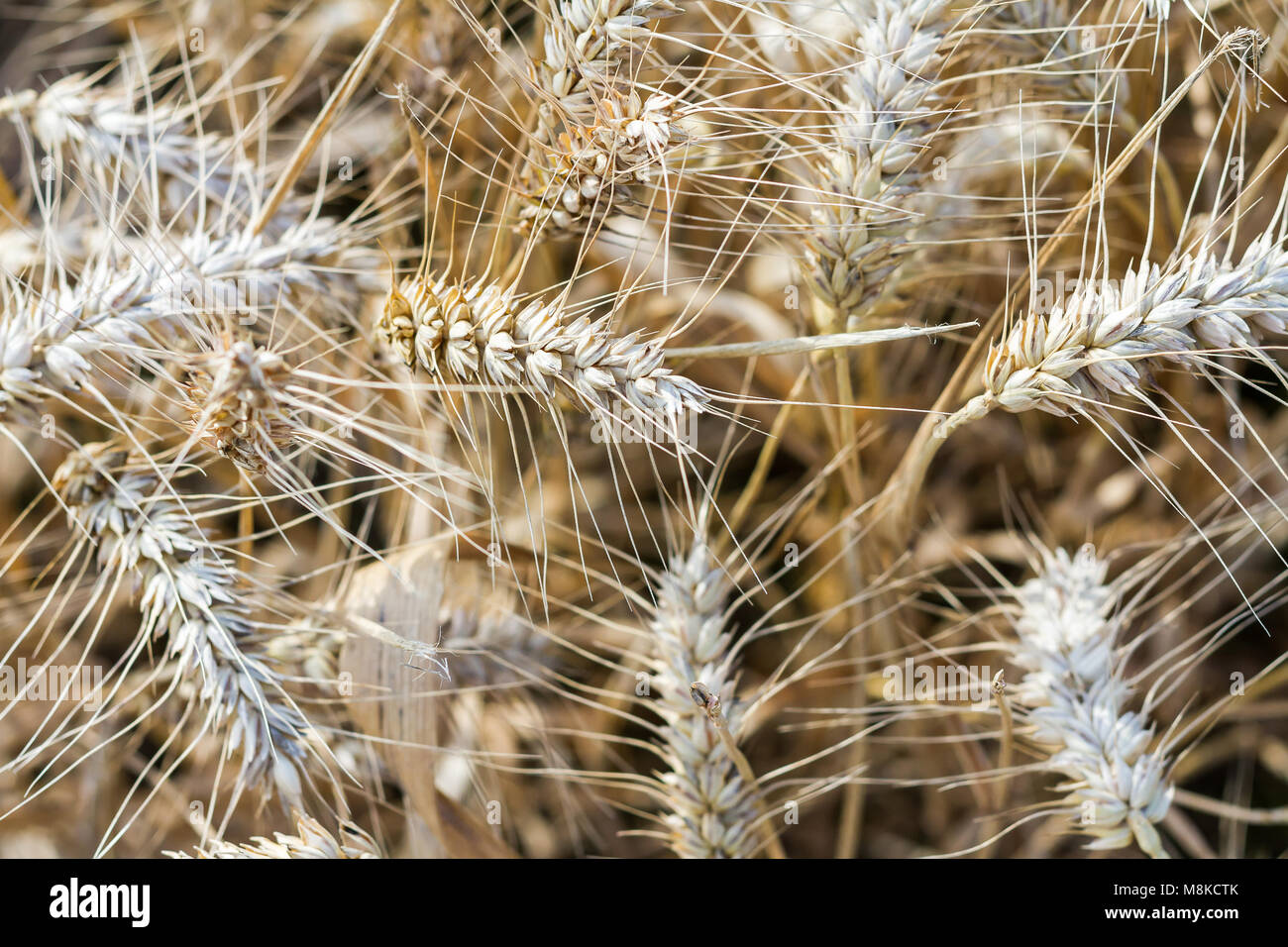 Netherton yorkshire hi-res stock photography and images - Alamy