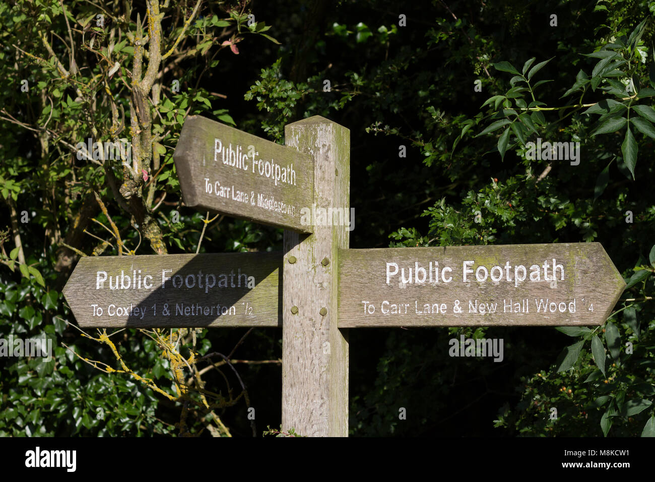 Netherton yorkshire hi-res stock photography and images - Alamy