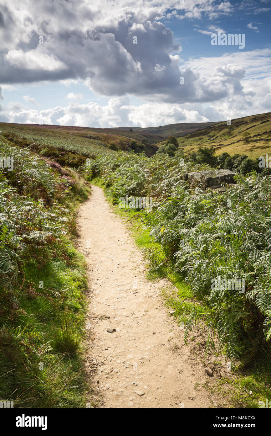Gentle walk through the hills of Bronte Country Stock Photo - Alamy