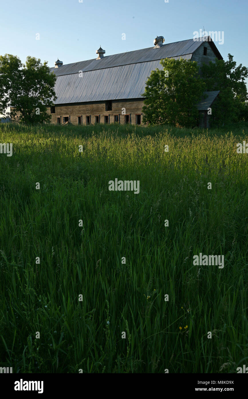 green grass field with old wood barn in the background Stock Photo - Alamy