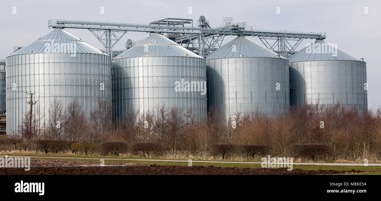 Large grain silos, England, UK Stock Photo - Alamy