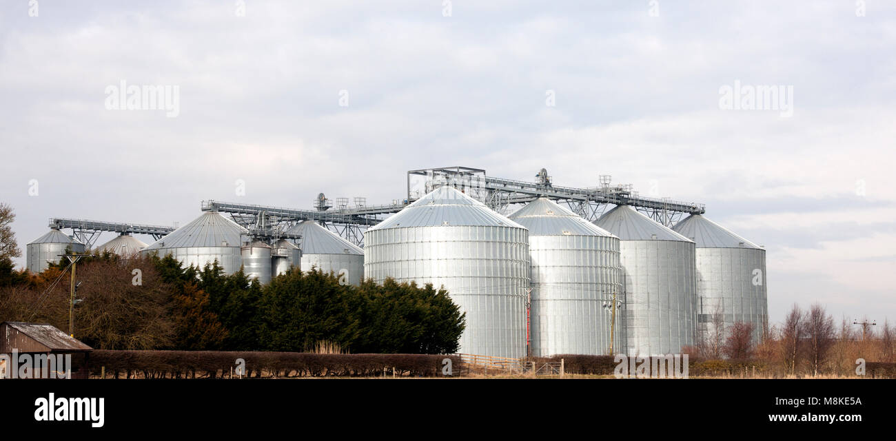 Large grain silos, England, UK Stock Photo - Alamy