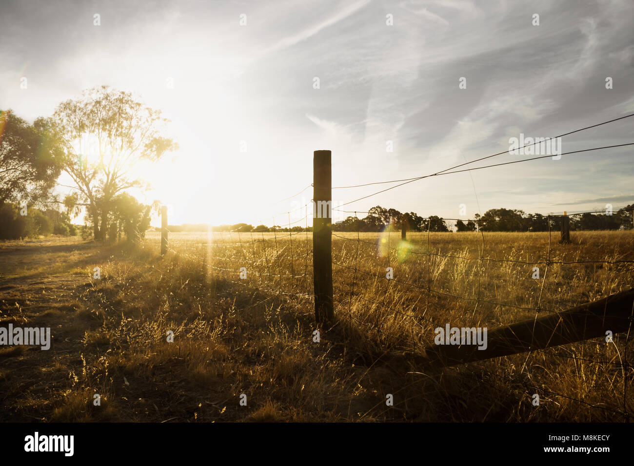 Australian landscape farm sunset hi-res stock photography and images ...