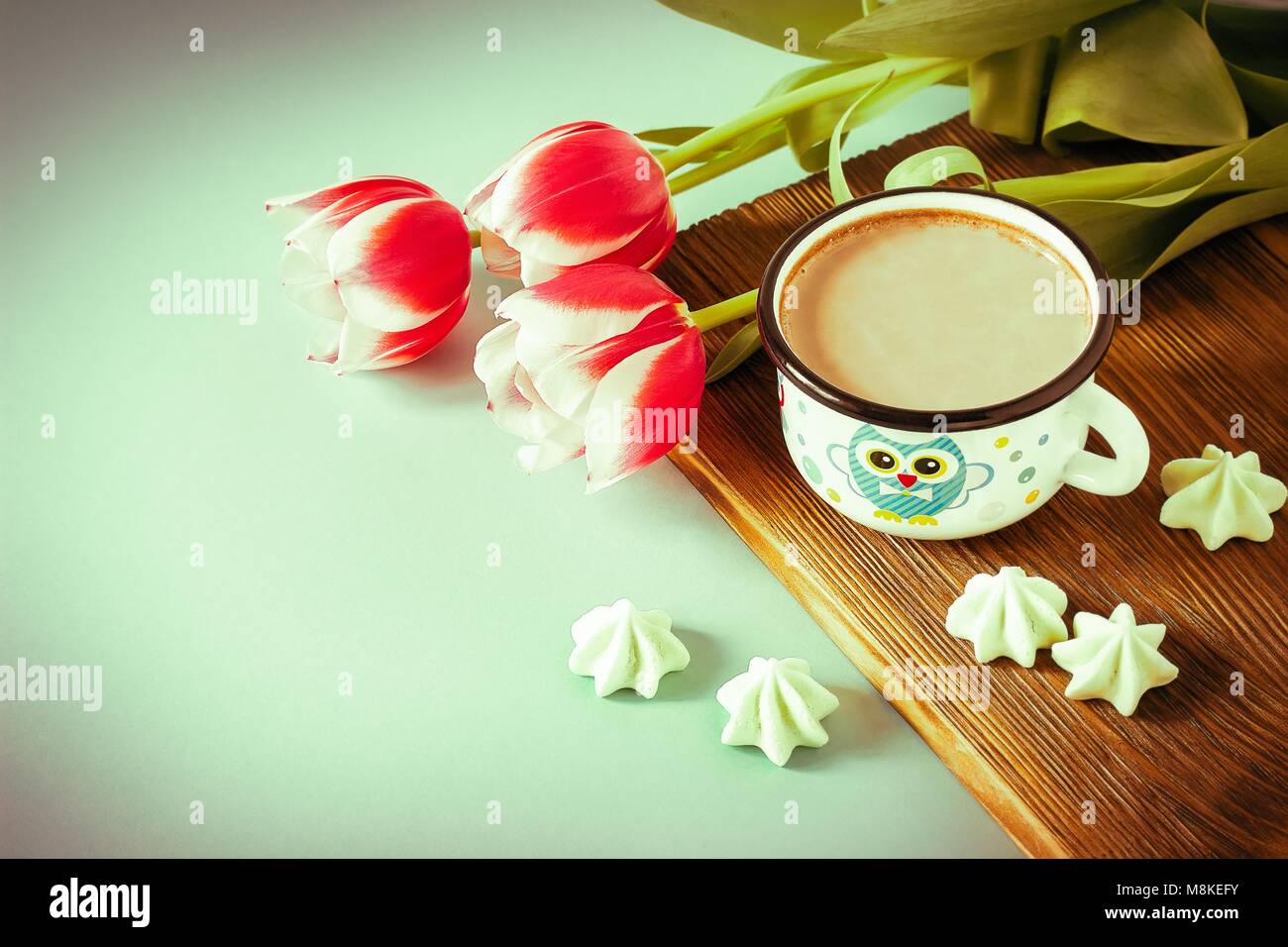 Red tulip white white border on blue background cacao cup marshmallow ...