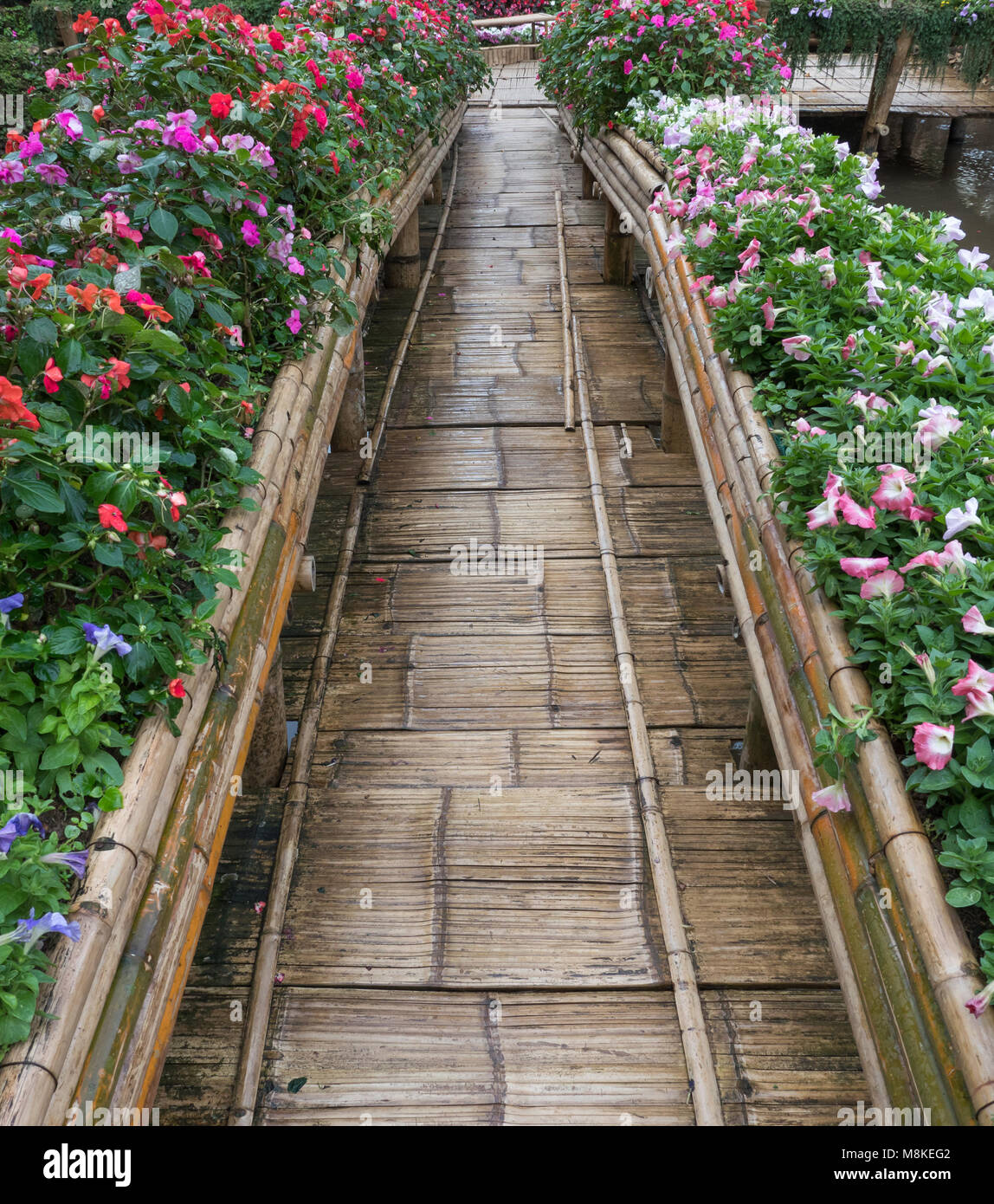 Bamboo bridge with the flower row on the pond of the botanical garden ...