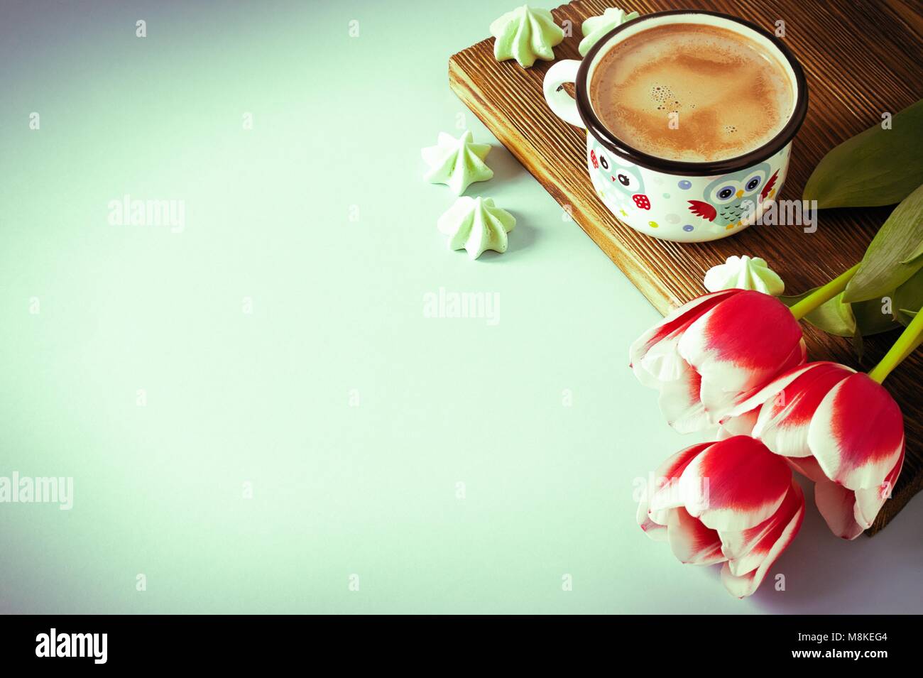 Red tulip white white border on blue background cacao cup marshmallow ...