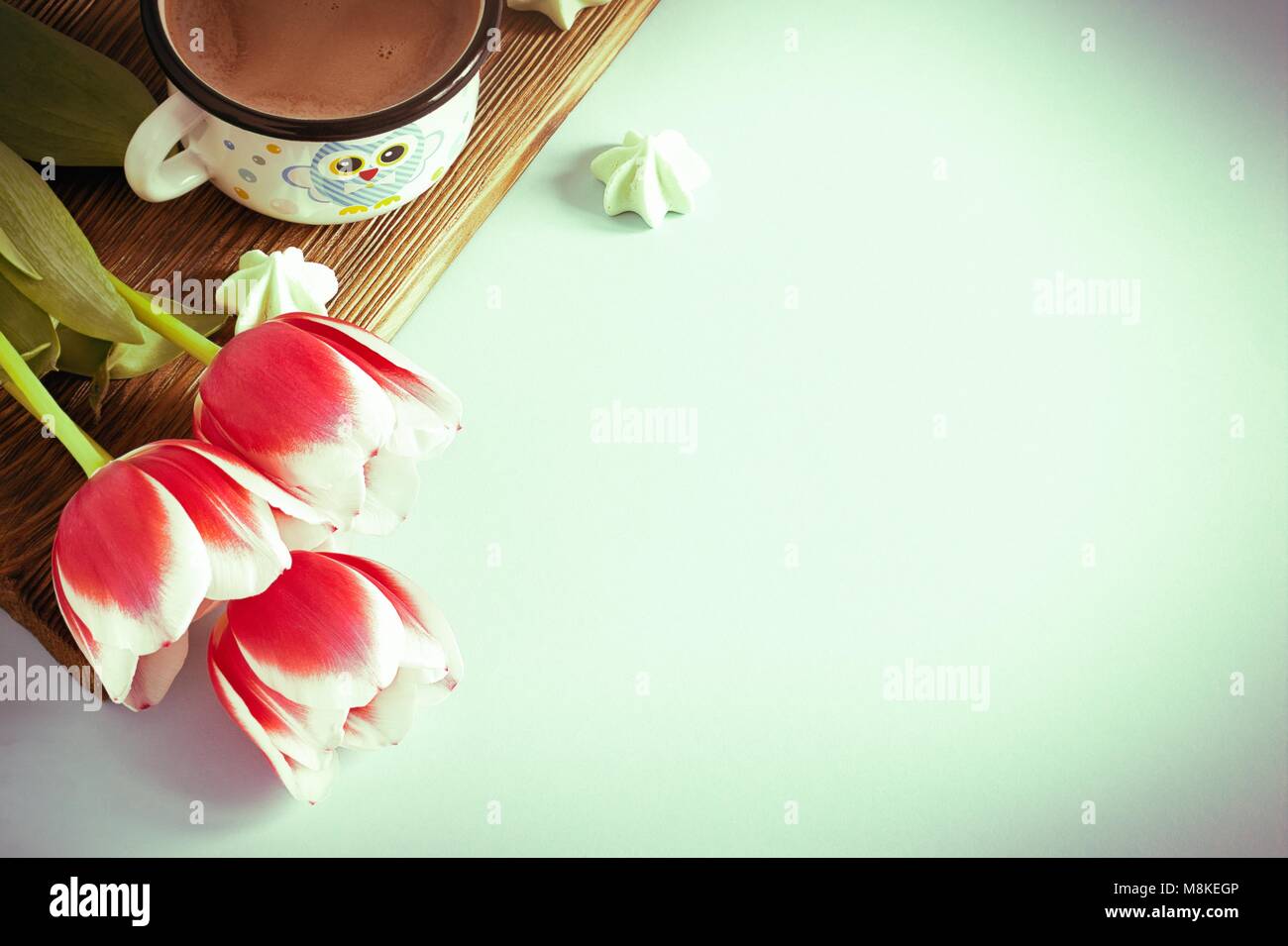 Red tulip white white border on blue background cacao cup marshmallow ...