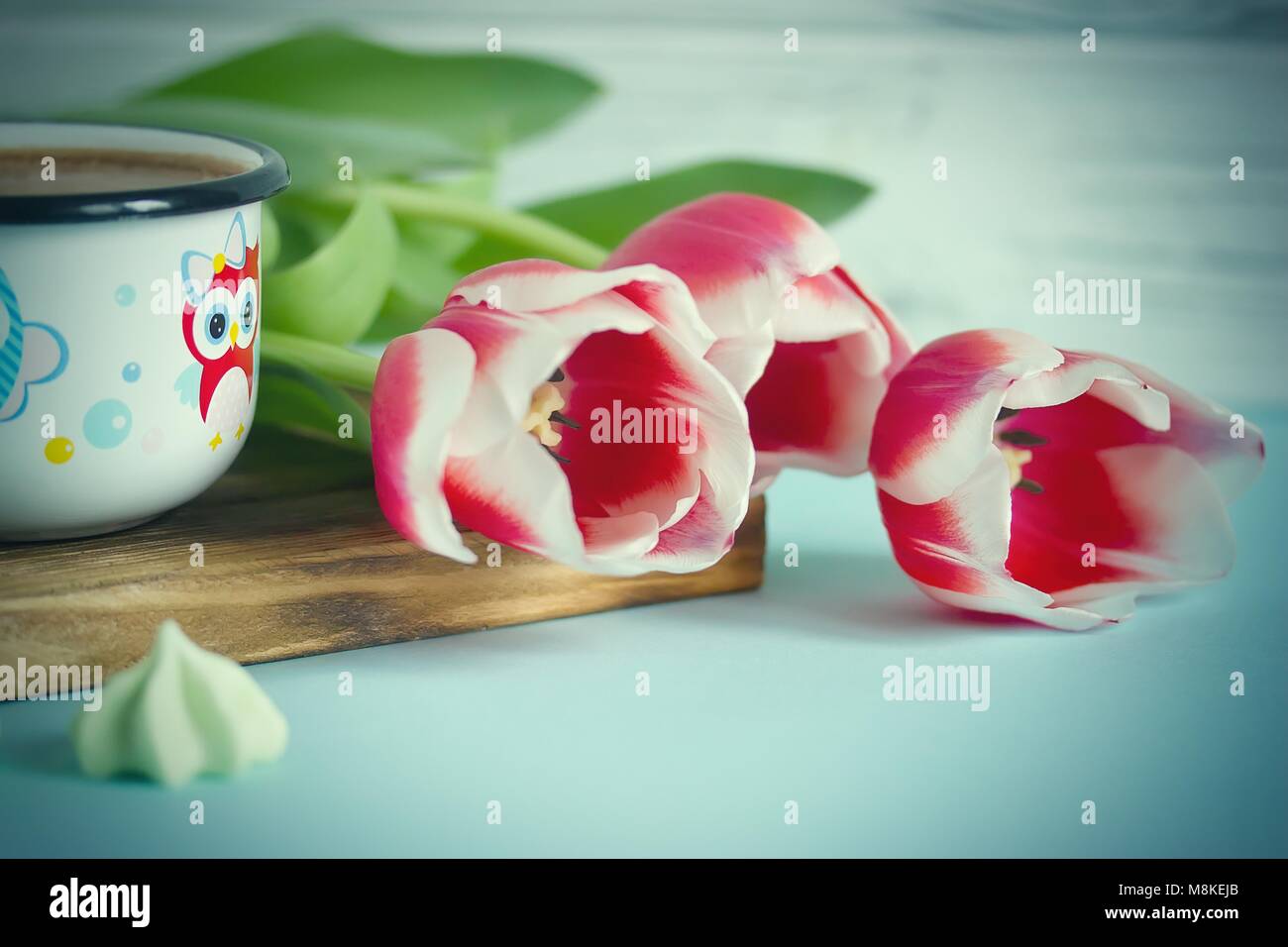 Red tulip white white border on blue background cacao cup marshmallow ...