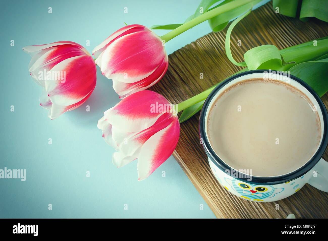 Red tulip white white border on blue background cacao cup marshmallow ...