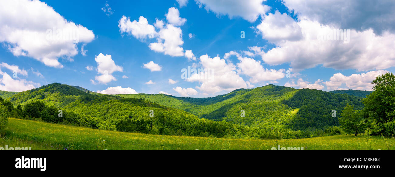 panorama of beautiful countryside in summer. beautiful landscape with ...
