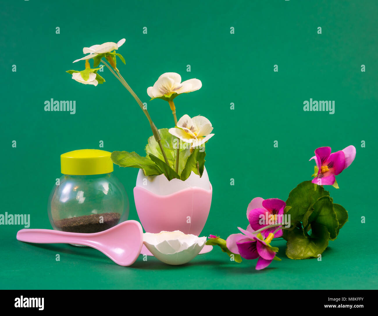 Spring still life with flower growing out of an eggshell Stock Photo ...