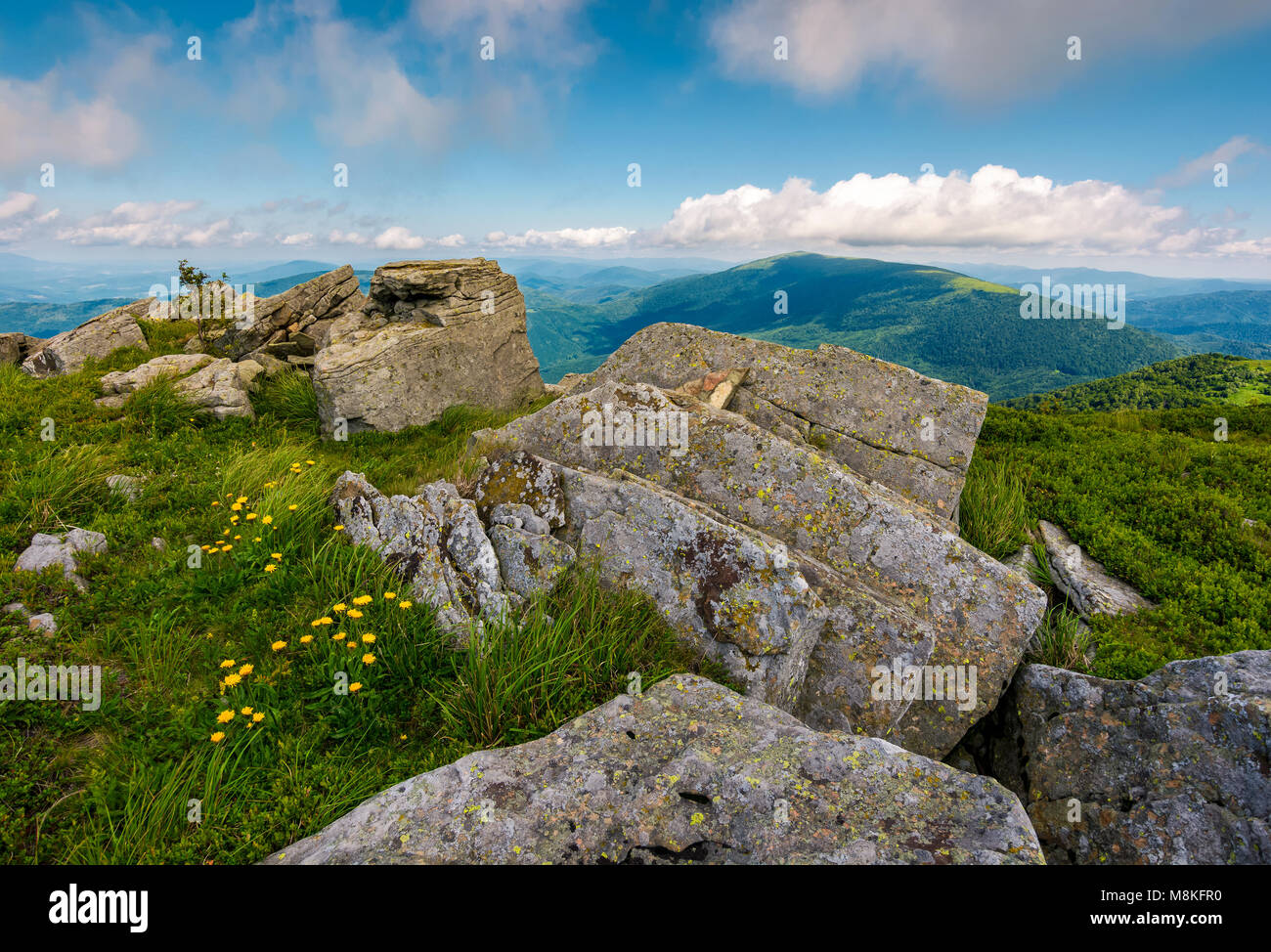 Tough environment hi-res stock photography and images - Alamy