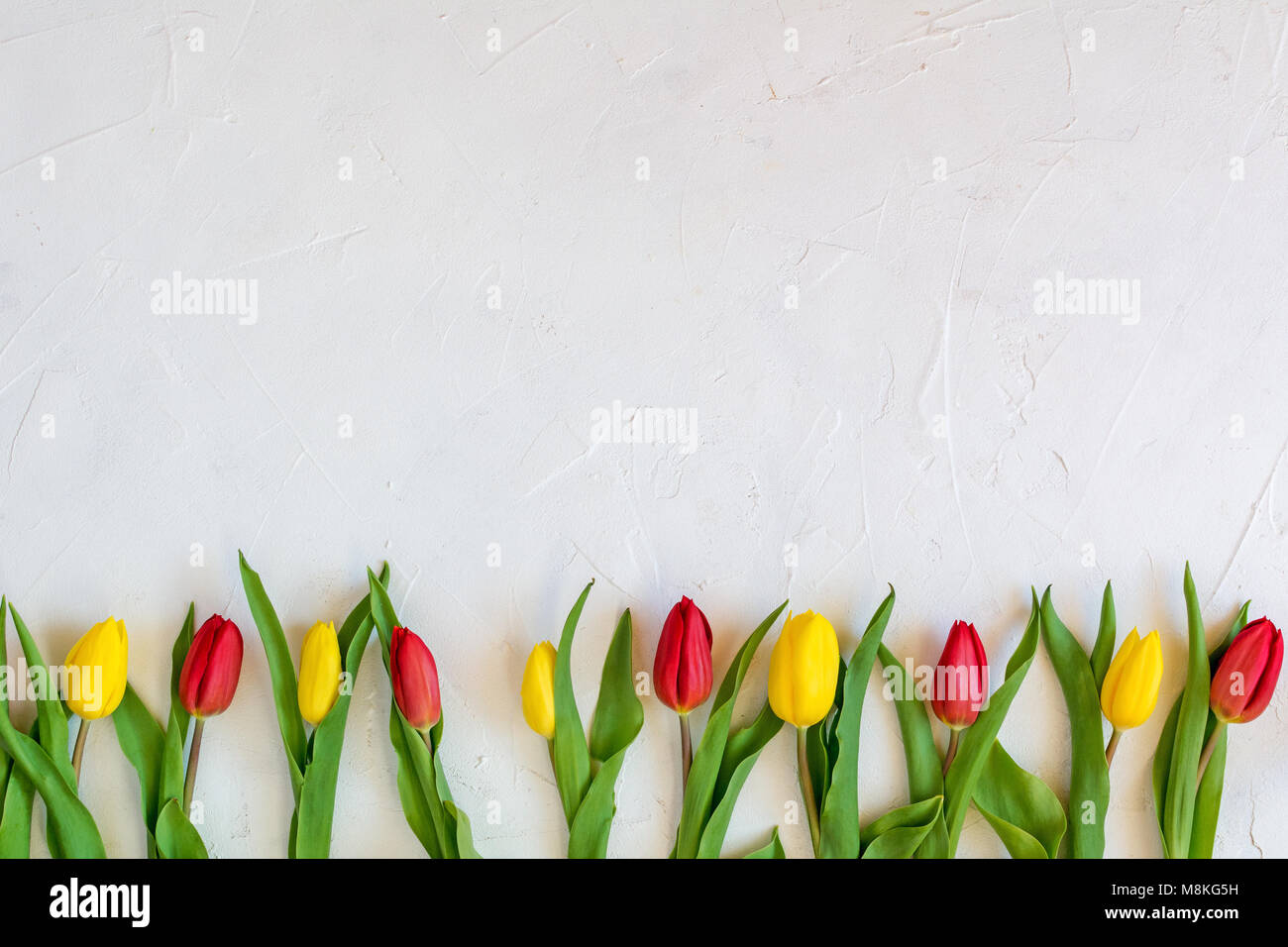Spring nature background with blossom. Springtime concept. Top view ...