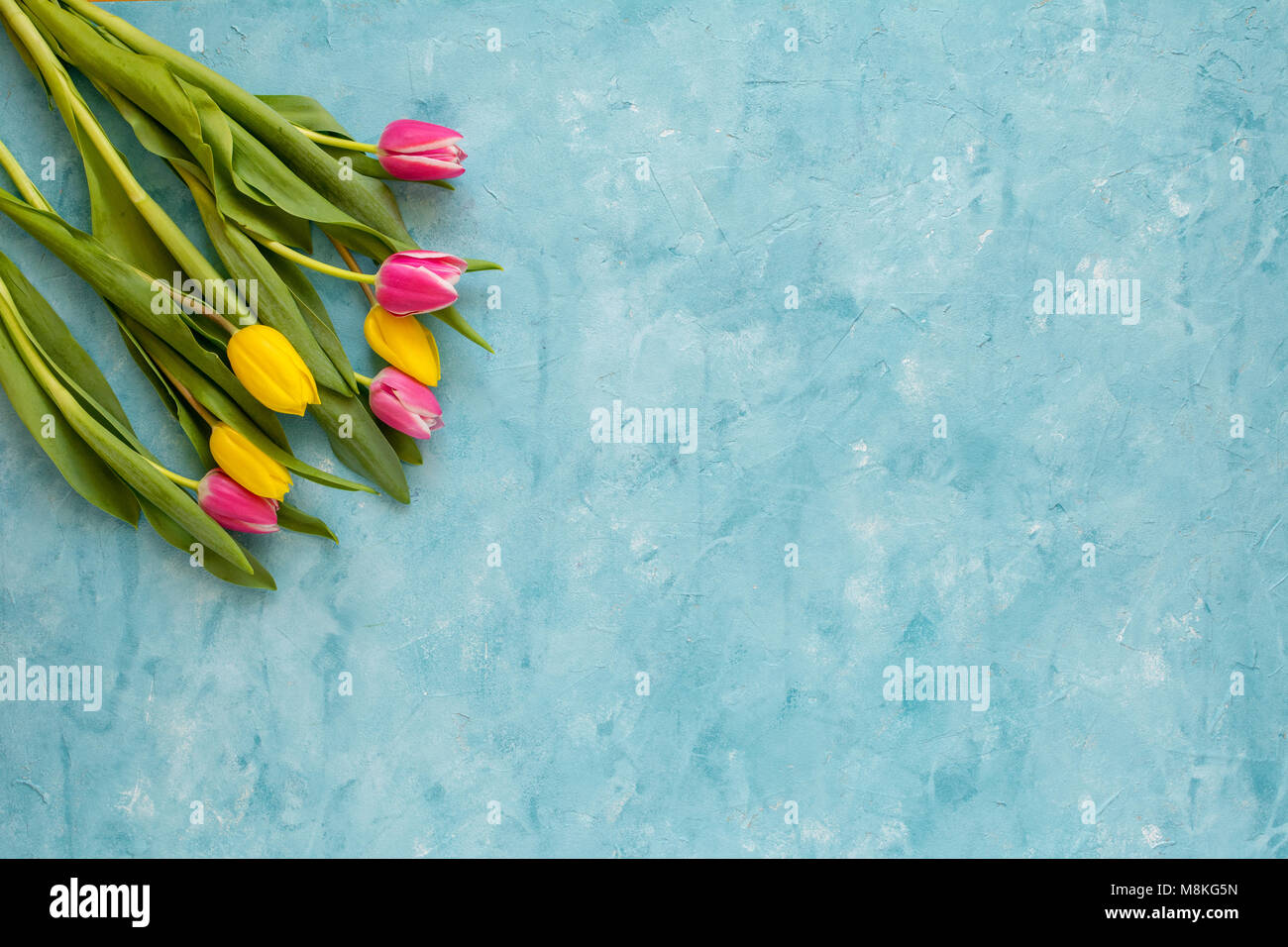 Spring nature background with blossom. Springtime concept. Top view ...
