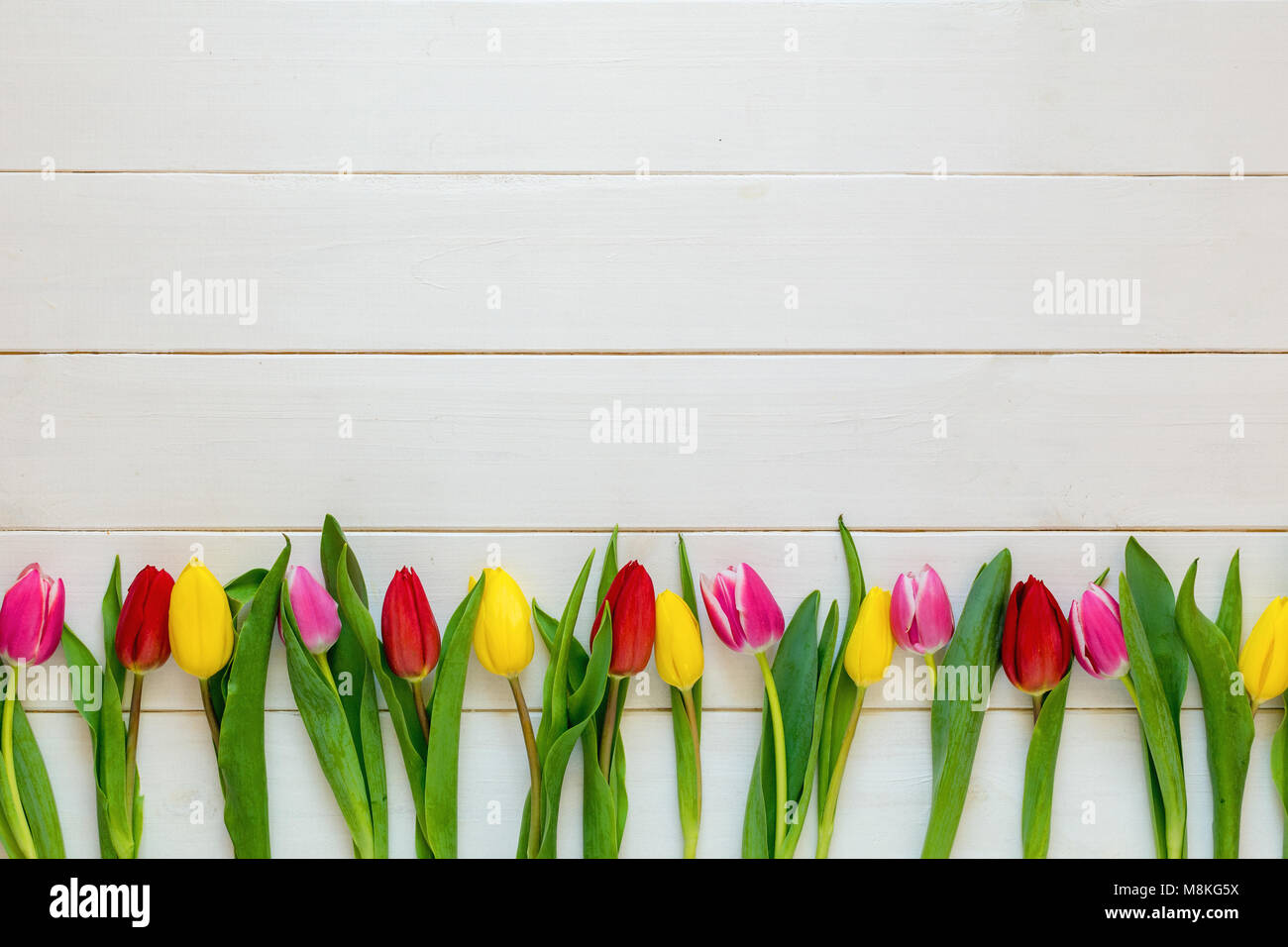 Spring nature background with blossom. Springtime concept. Top view ...