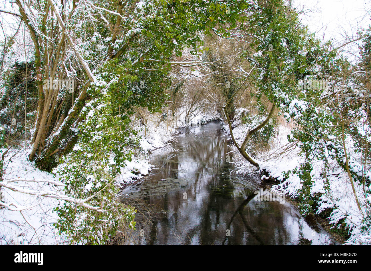 Spring in winter Stock Photo - Alamy