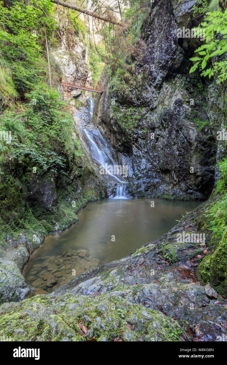 Landscape with Valea lui Stan canyon and river in Romania Stock Photo ...
