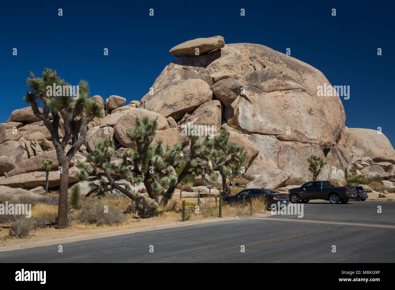 Cap Rock, Joshua Tree National Park, California, USA Stock Photo - Alamy