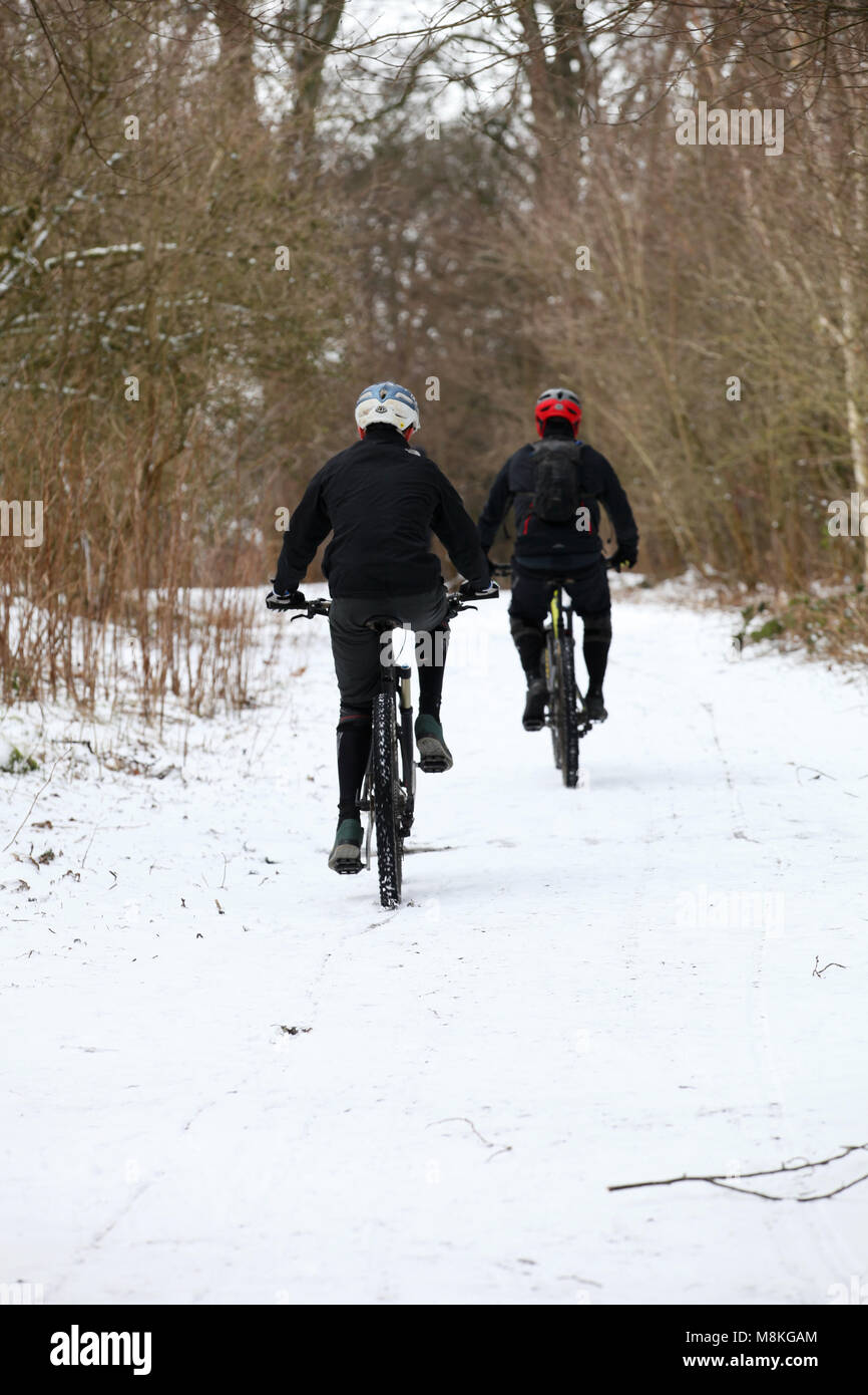 Two cyclists enjoying an off road ride through woodland on a snowy day ...