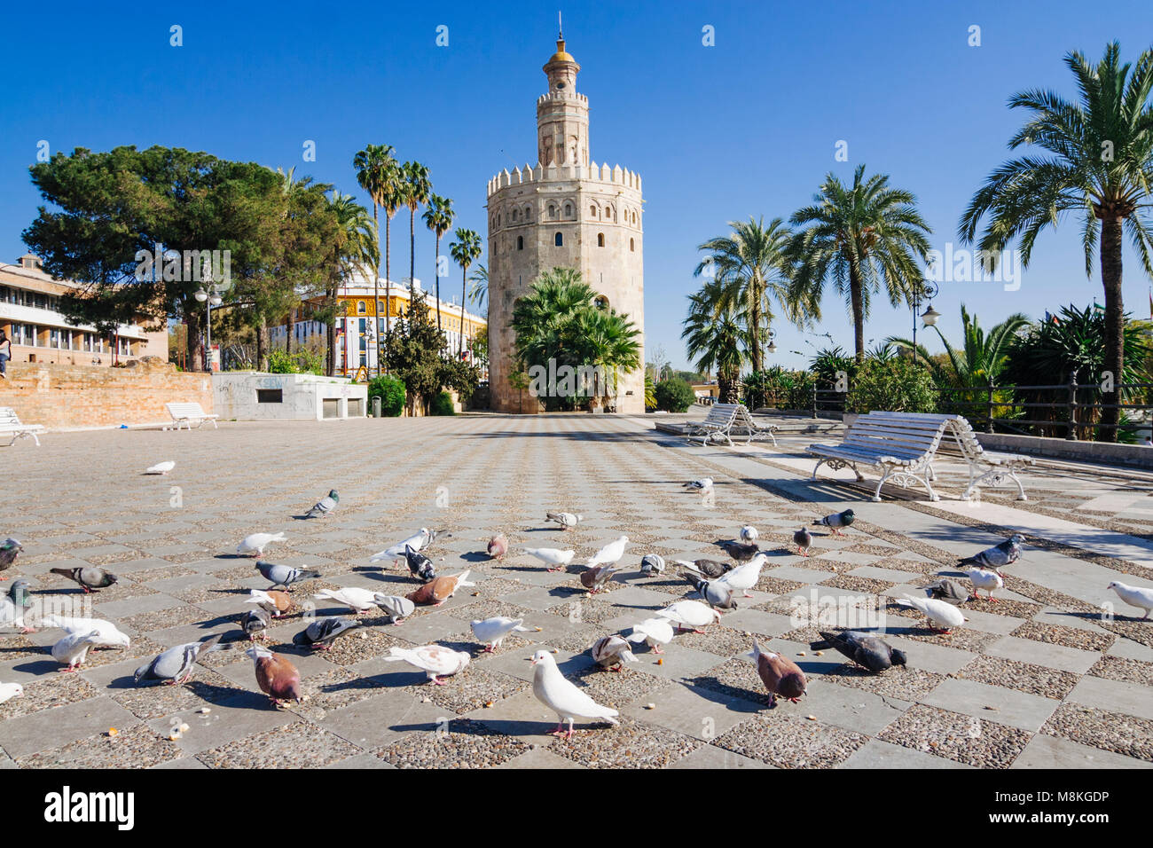 Seville, Andalusia, Spain : 13th century Torre del Oro (Tower of Gold ...