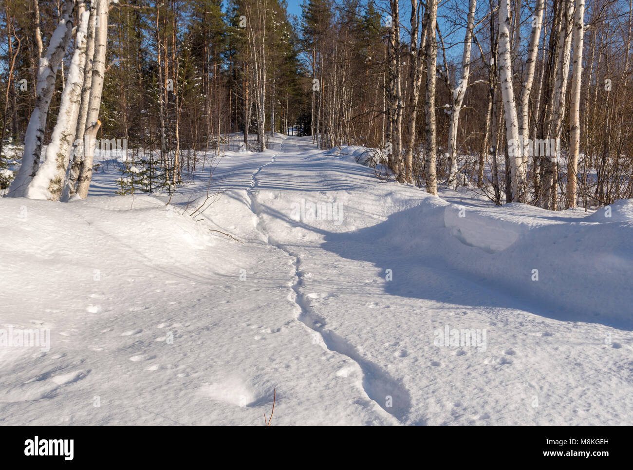 Fox trail hi-res stock photography and images - Alamy