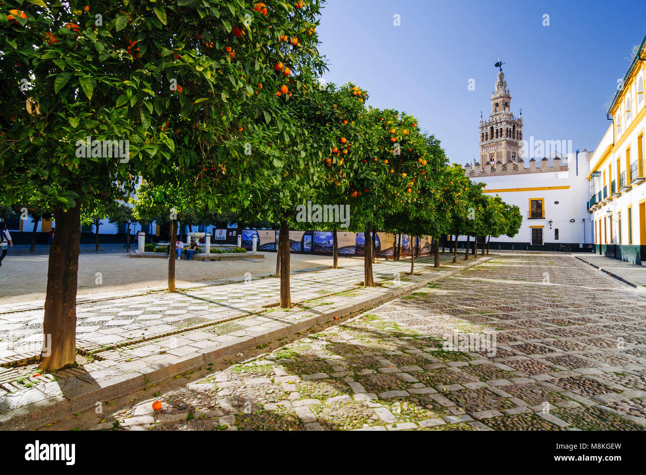 Courtyard of orange trees hi-res stock photography and images - Alamy