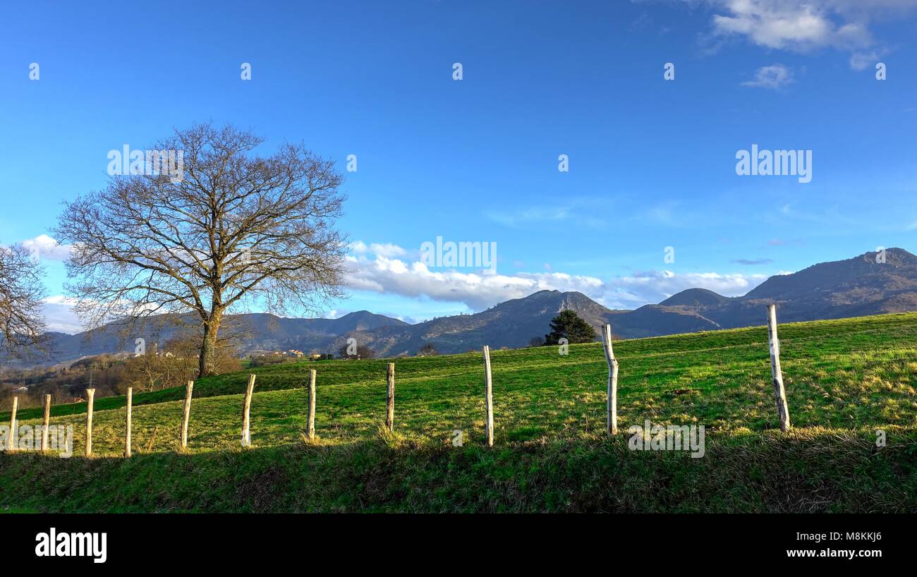 Nava High Resolution Stock Photography and Images - Alamy