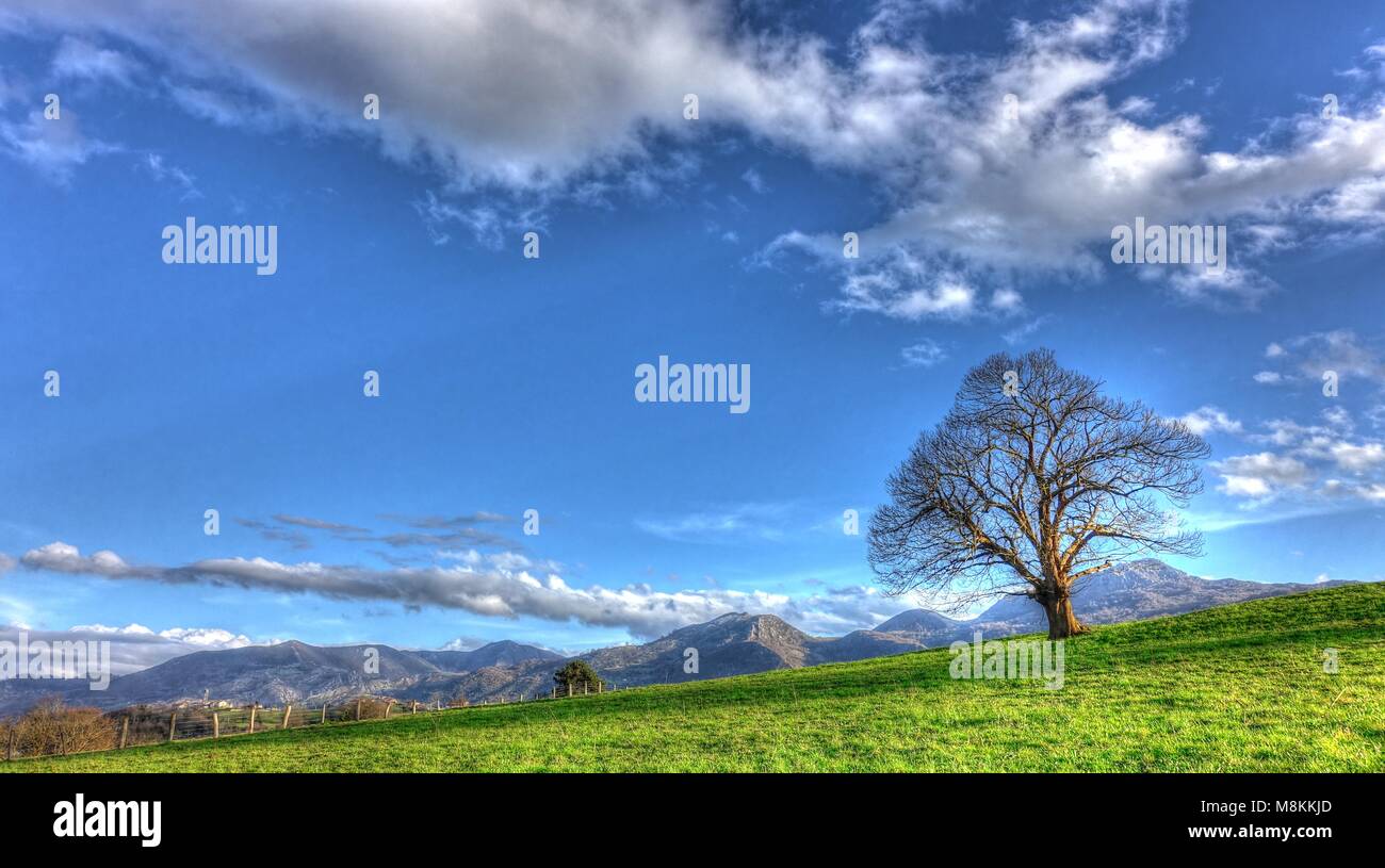 Nava High Resolution Stock Photography and Images - Alamy