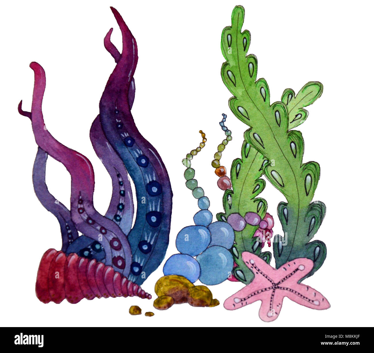 Set of colorful watercolor seaweeds on white background Stock Photo - Alamy