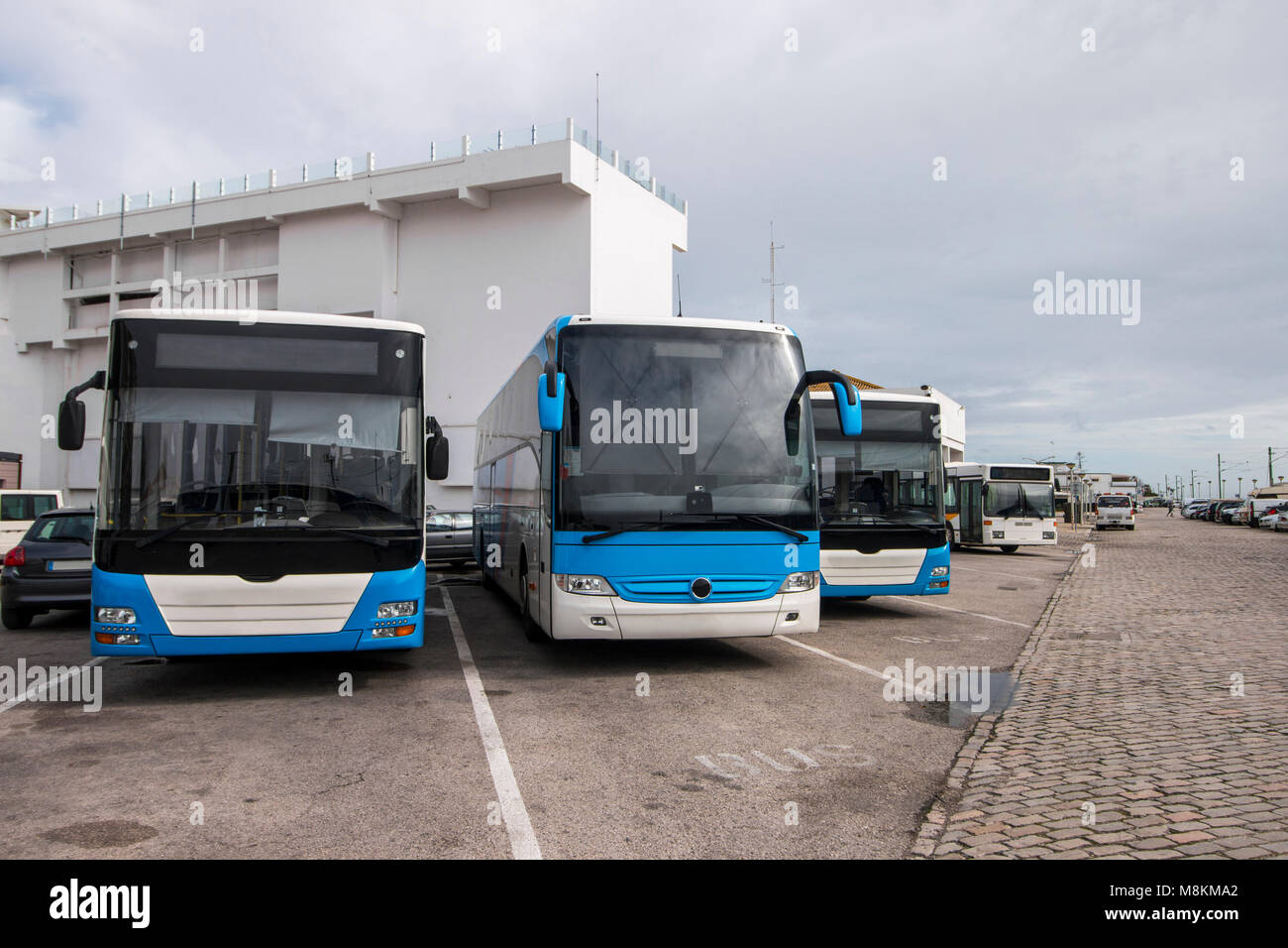 View of several blue and white Buses parked in the city Stock Photo - Alamy