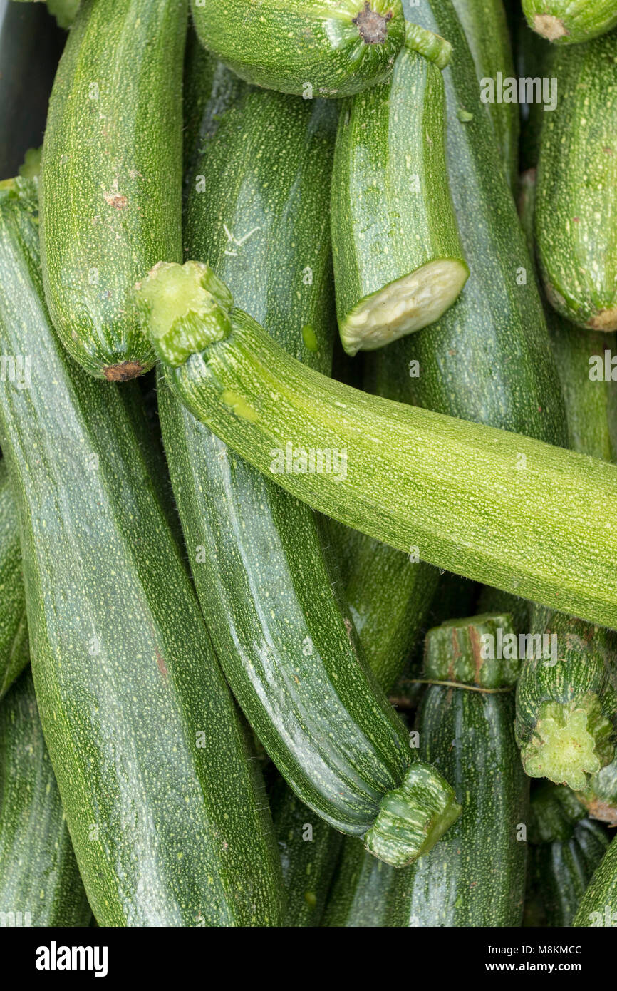 Courgettes for sale in the Paphos saturday farmers market, Paphos ...