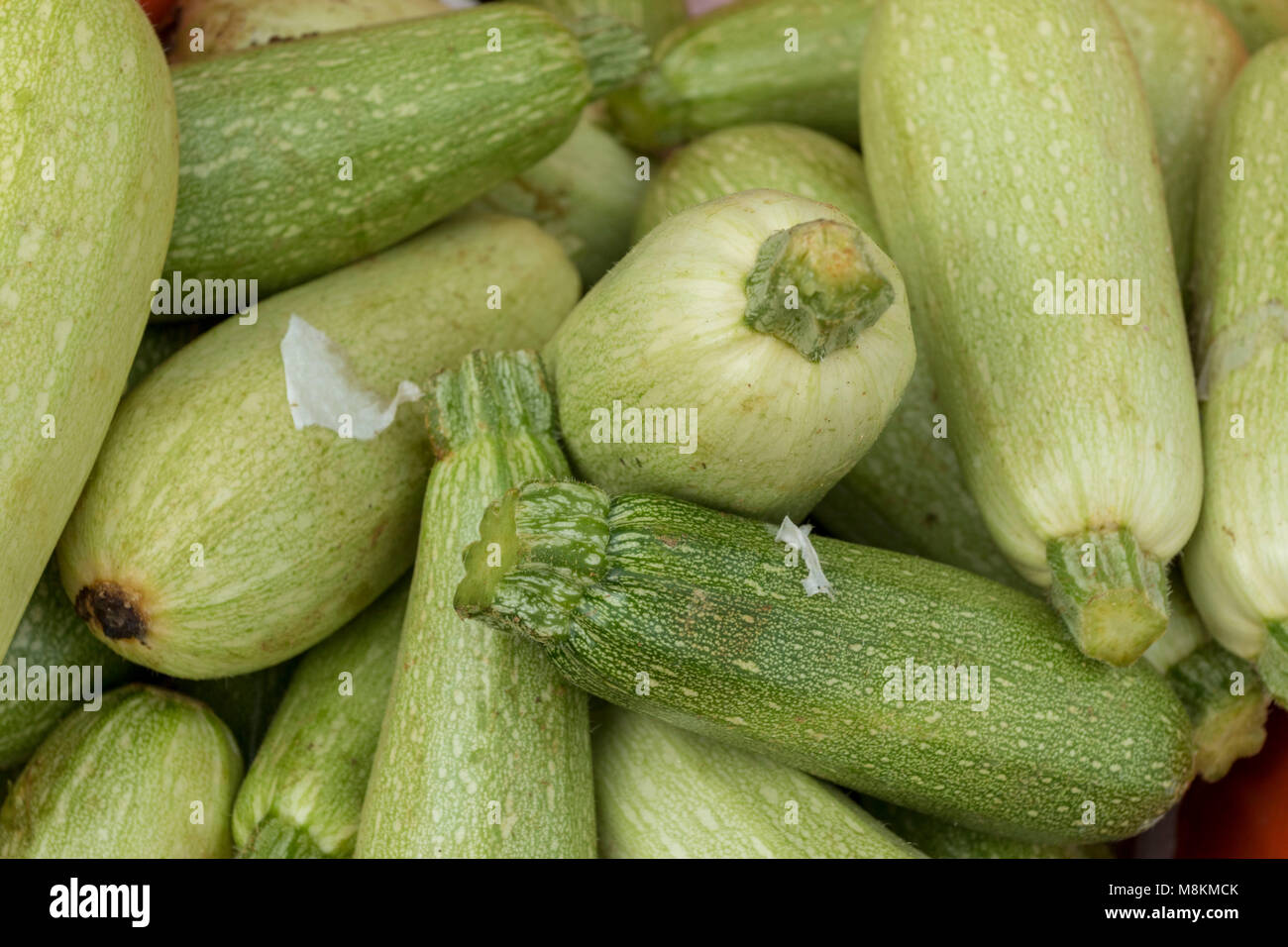 Courgettes for sale in the Paphos saturday farmers market, Paphos ...