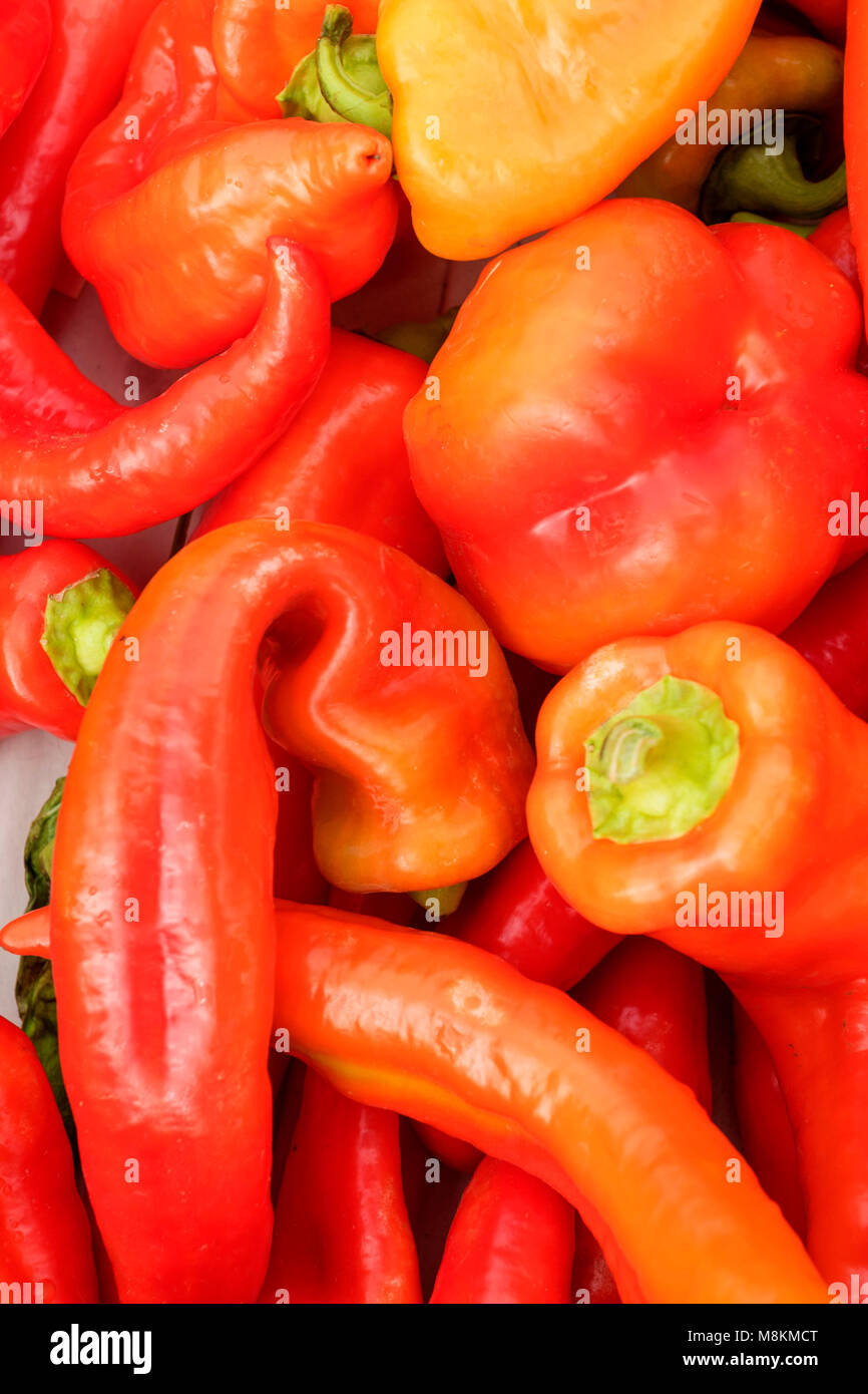 Red peppers still-life Stock Photo - Alamy