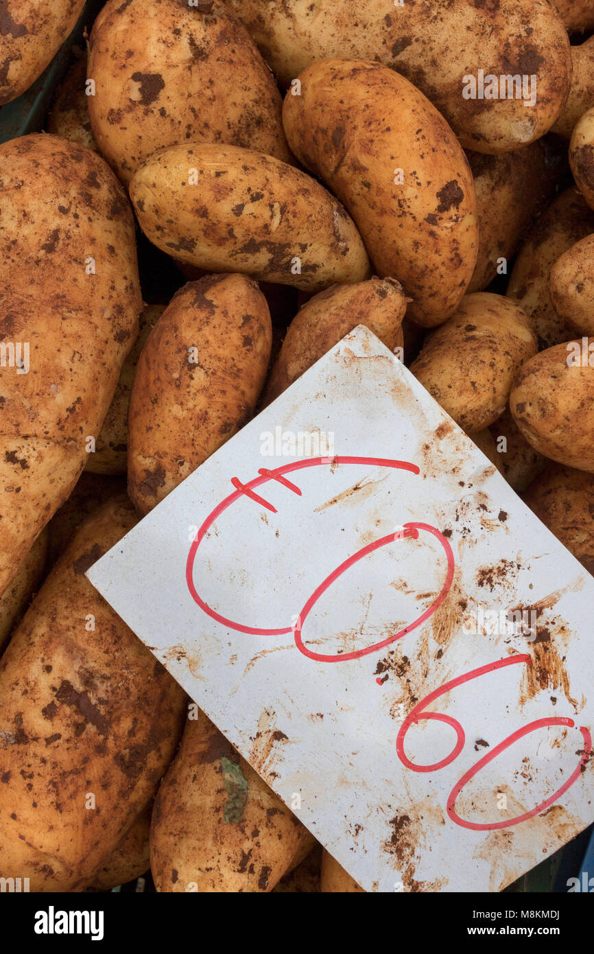 Farm fresh potatoes in the Saturday market of Paphos, Cyprus ...