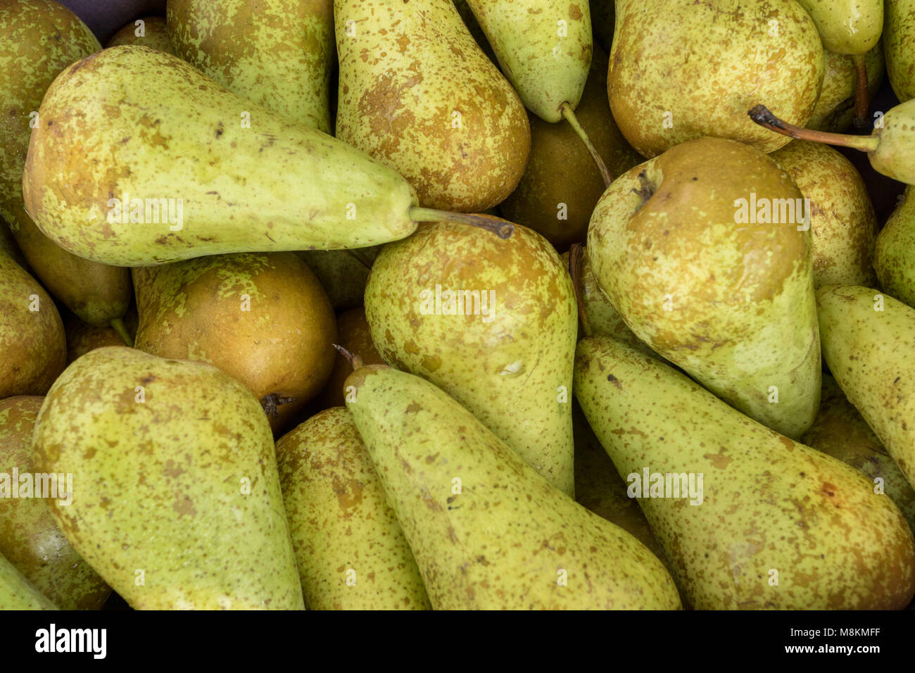 Pile of conference pears in a Paphos market, Cyprus, Mediterranean ...