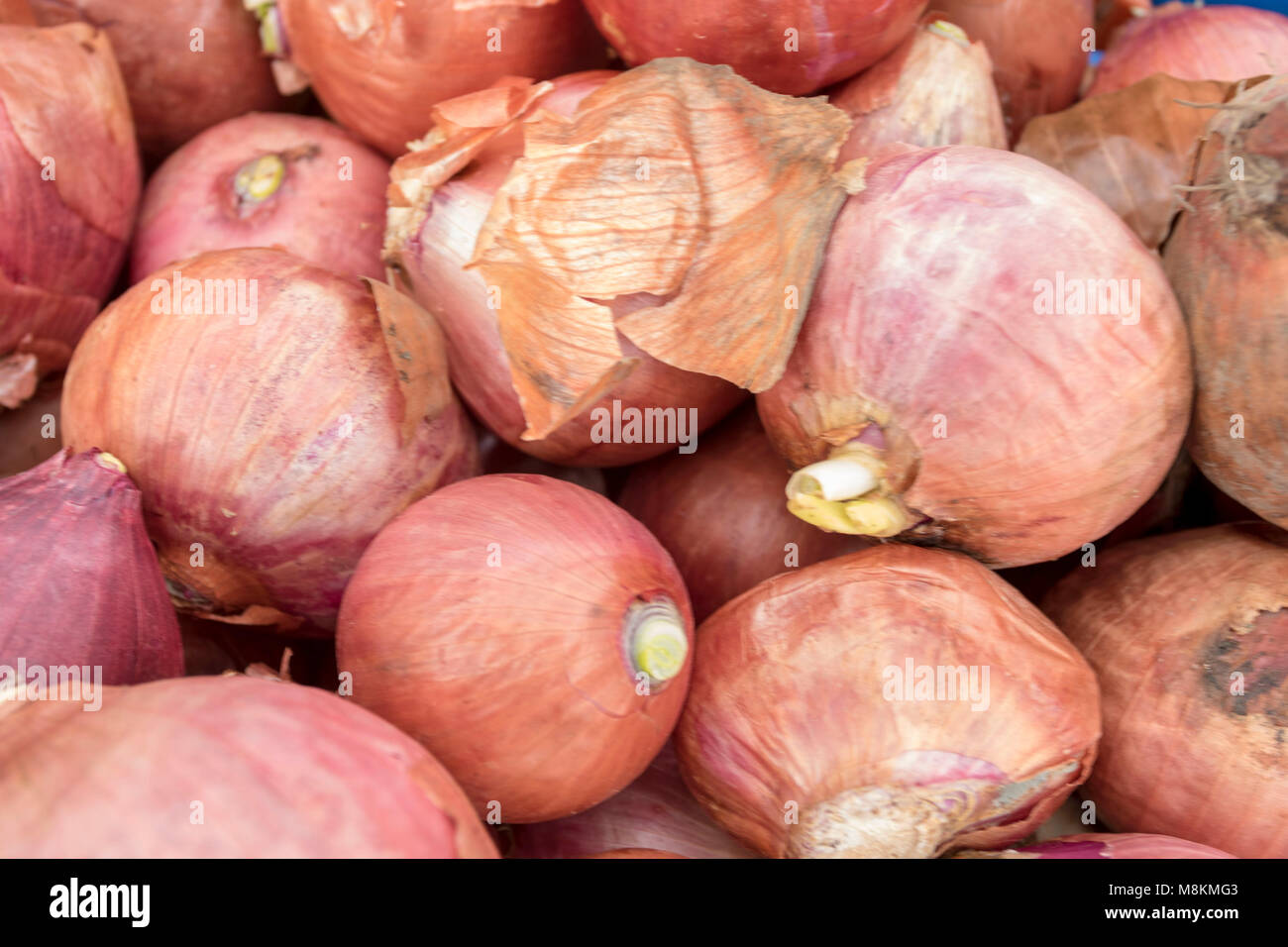 Cultural cyprus food hi-res stock photography and images - Alamy