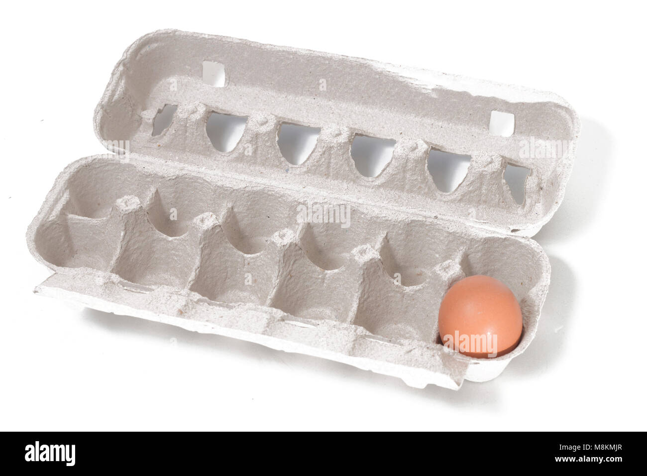 one single egg inside a cardboard package isolated on a white ...