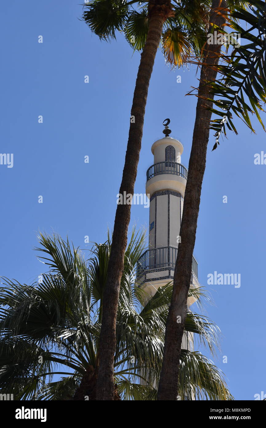 The Lantern at the Hayden Library Arizona State University Tempe ...